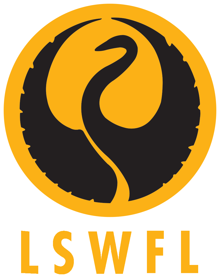 Latest News – Lower South West Football League